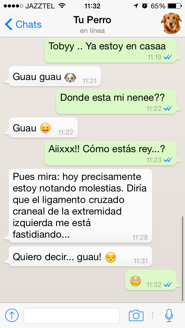 ¿Cómo saber si mi perro tiene dolor? - Perros siempre en movimiento ¿Cómo saber si mi perro tiene dolor? - Perros siempre en movimiento