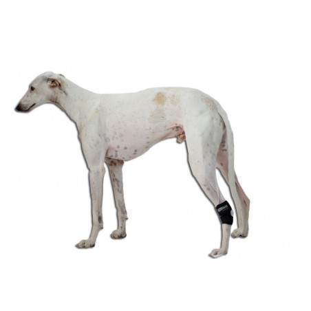 Soporte para el tarso del perro