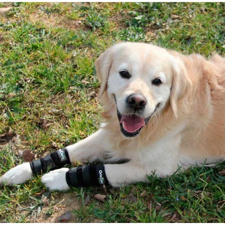 Ortocanis - Dog Carpal Wrap