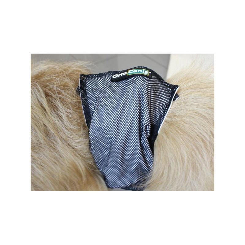 Ortocanis - Male Wrap for Dogs