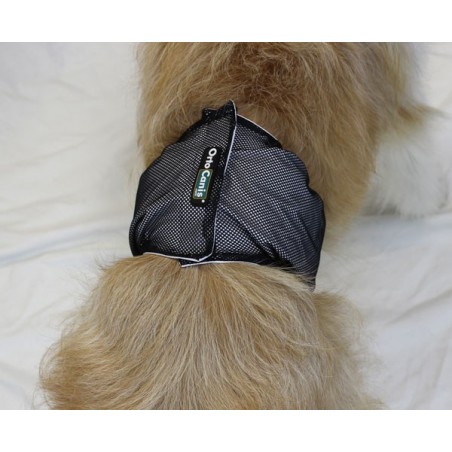 Ortocanis - Male Wrap for Dogs