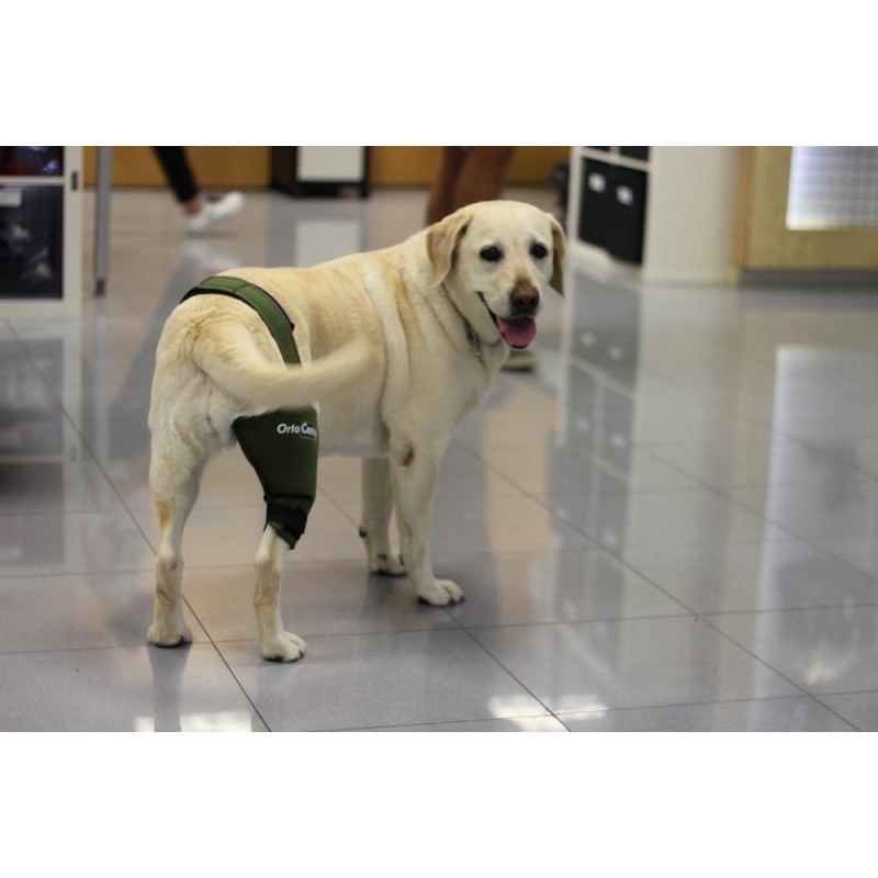 Protector de rodilla para perro hecho a medida