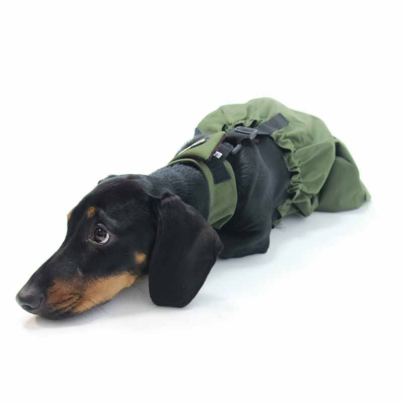 protective rug or bag for disabled dogs