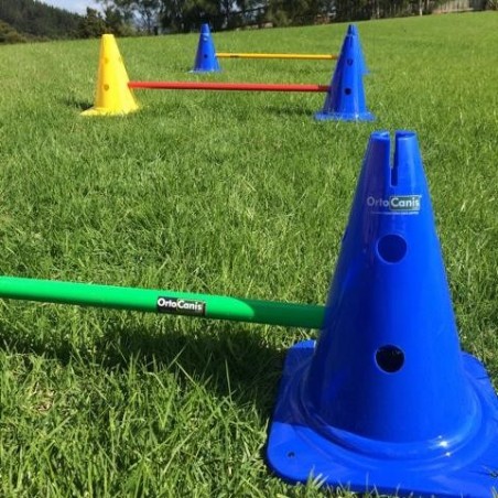 Coni perforati di plastica, coni colorati, coni per riabilitazione