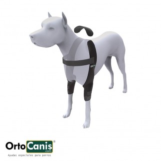 Ortesis de Soporte para los codos del perro. Codera de Rehabilitación.