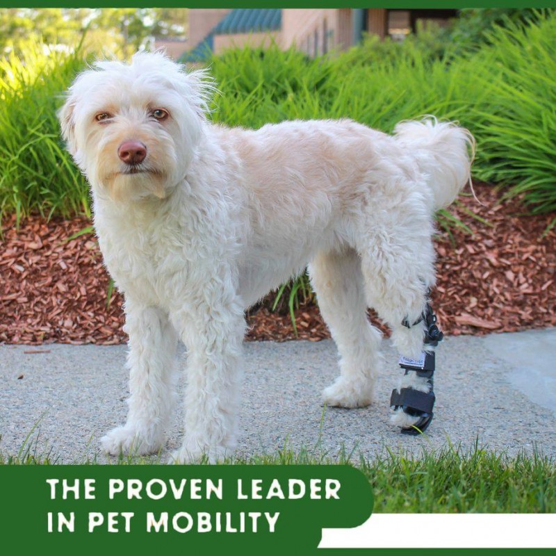 Adjustable Dog Splint. For osteoarthritis, fractures and rehab.