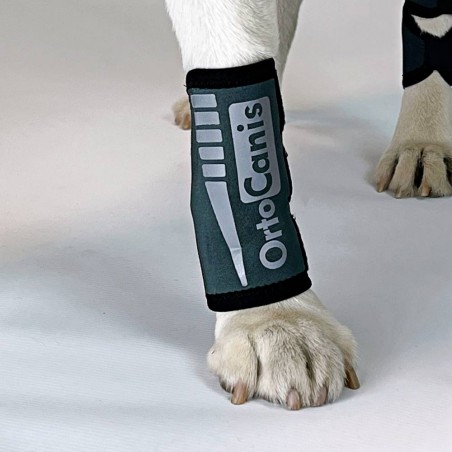 Ortocanis - Dog Carpal Wrap