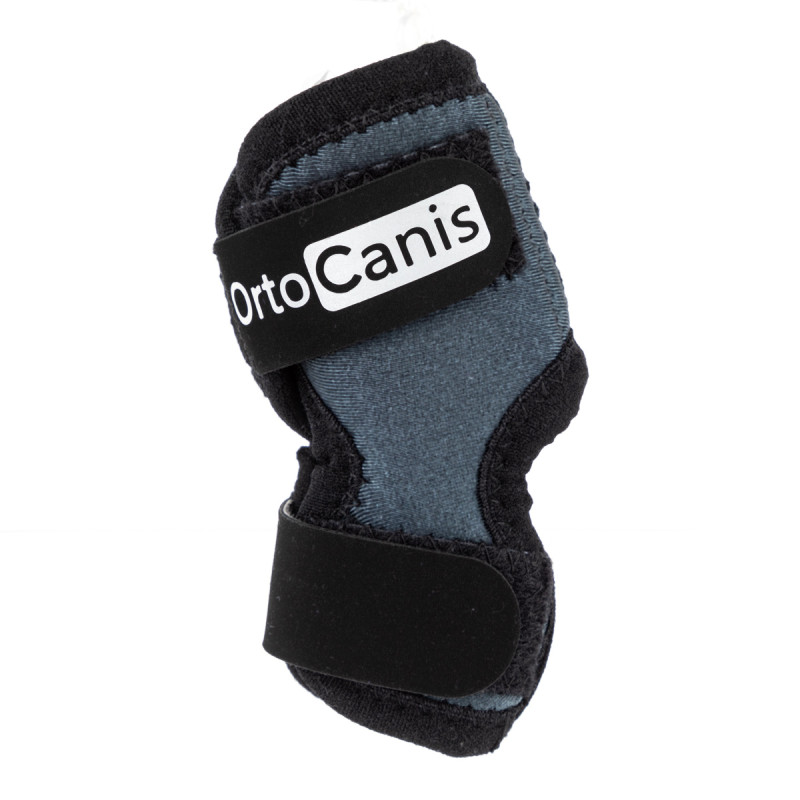 Ortocanis Hock Wrap for Dogs