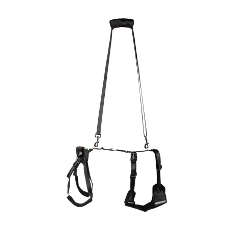 Ortocanis Integral Dog Harness