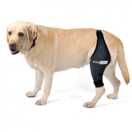 Protector de Rodilla para perros