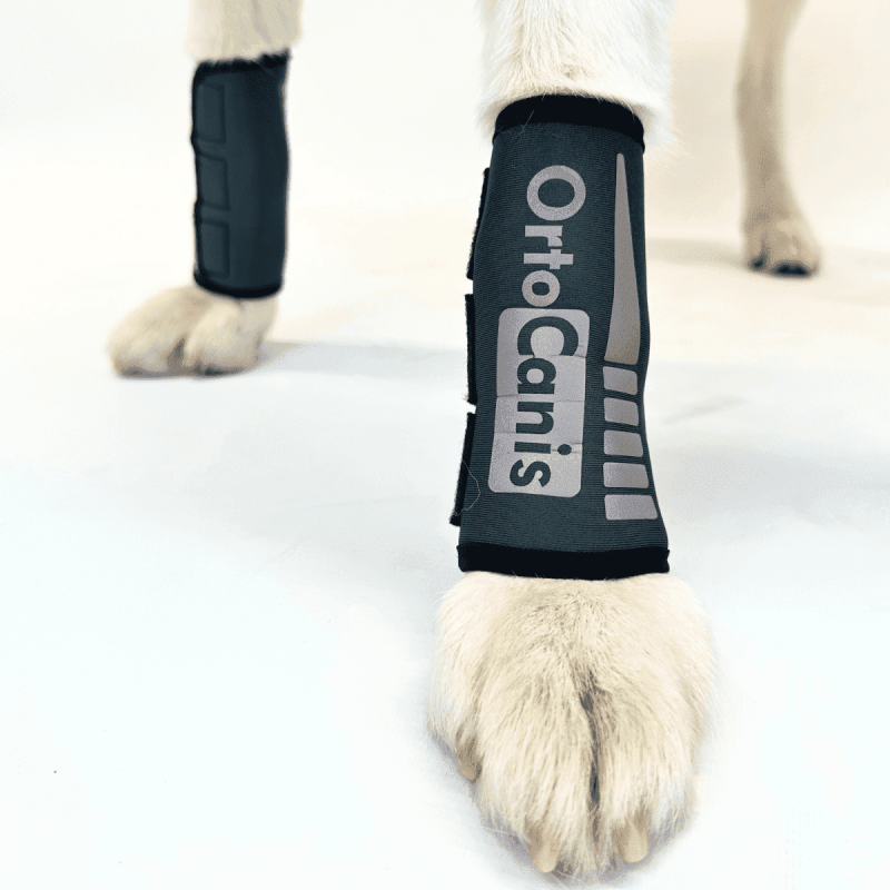 Protector de Rodilla para perros