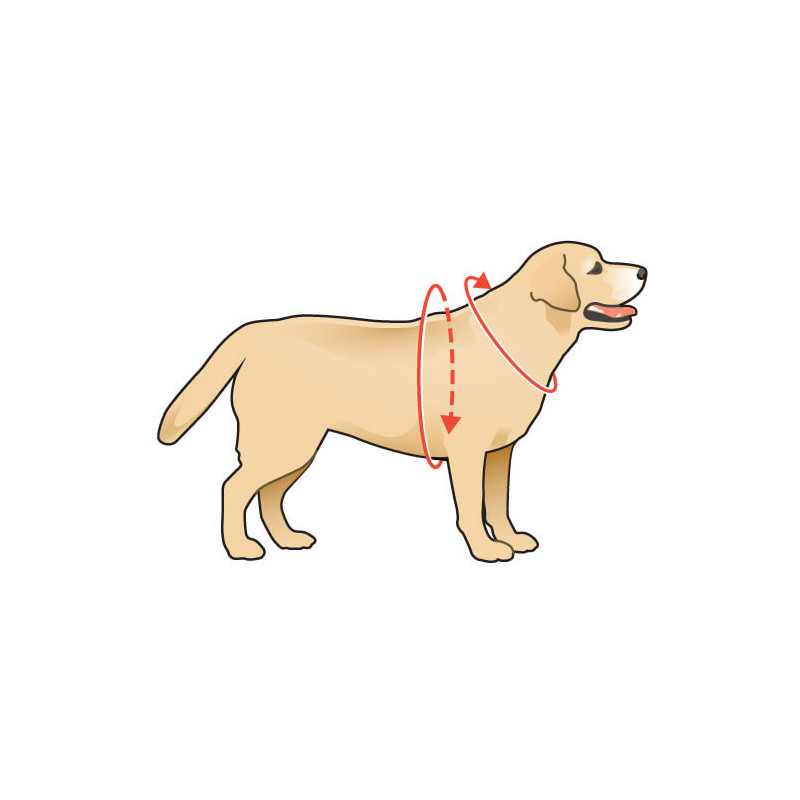 Warrior Front Harness