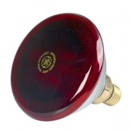 Infrared bulb