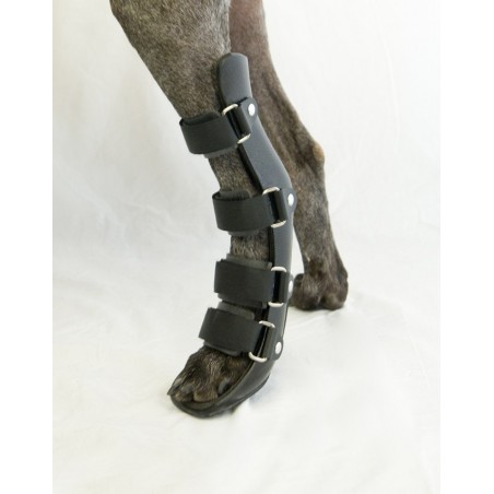 Ortocanis Rear Leg Splint for Dogs