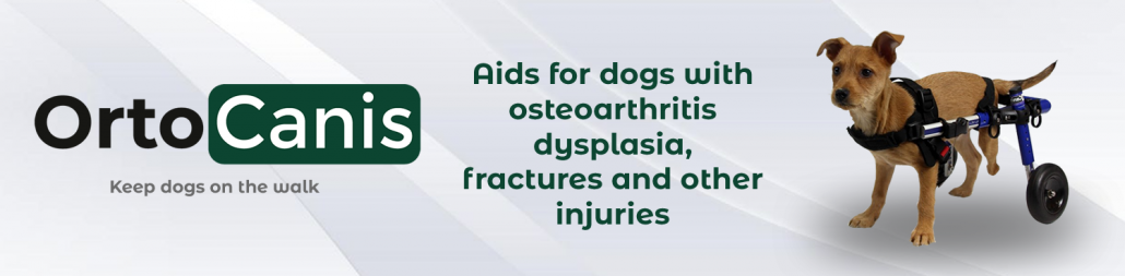 Ortocanis - Dogs Always on the Move